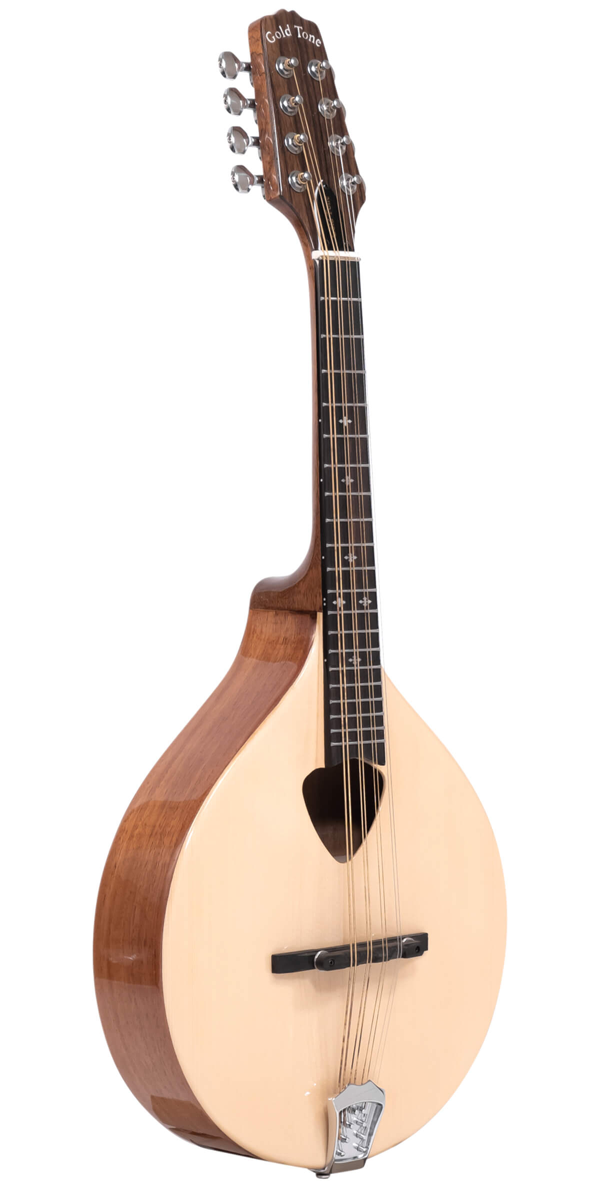 Mandola: Traditional Irish Mandola | Gold Tone Folk Instruments