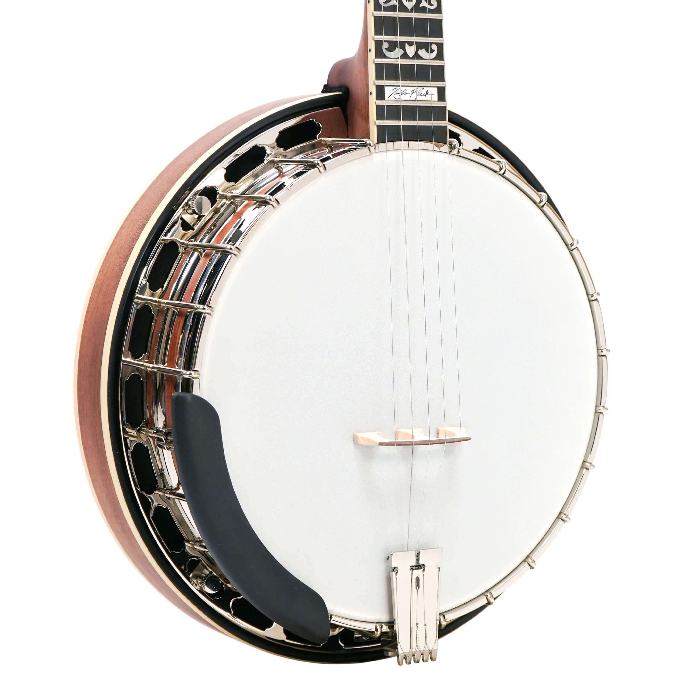 Mastertone™ “Bluegrass Heart” Béla Fleck Signature Banjo | Gold Tone ...